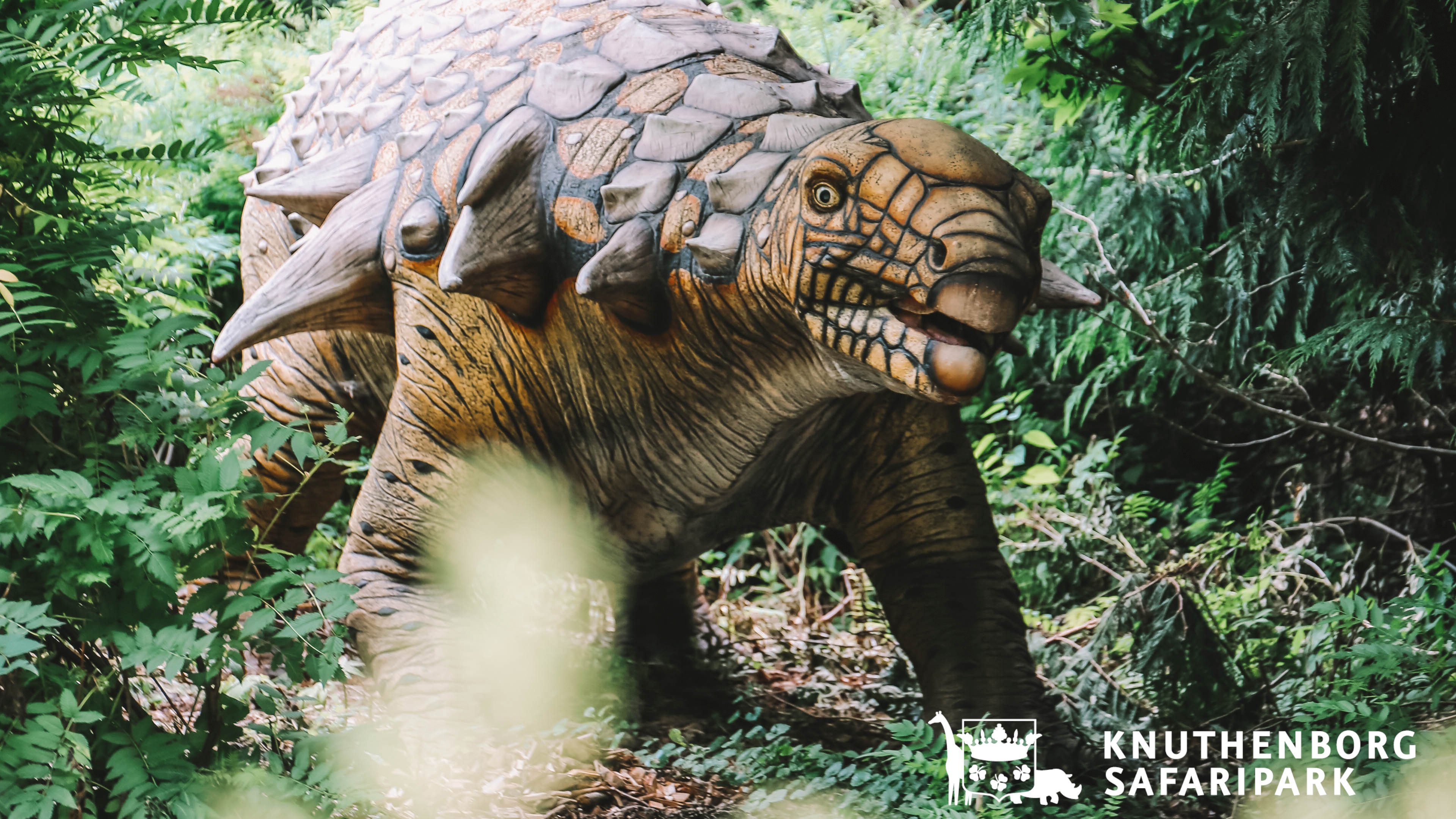 Evolutionære træk og smarte tricks – på skolen