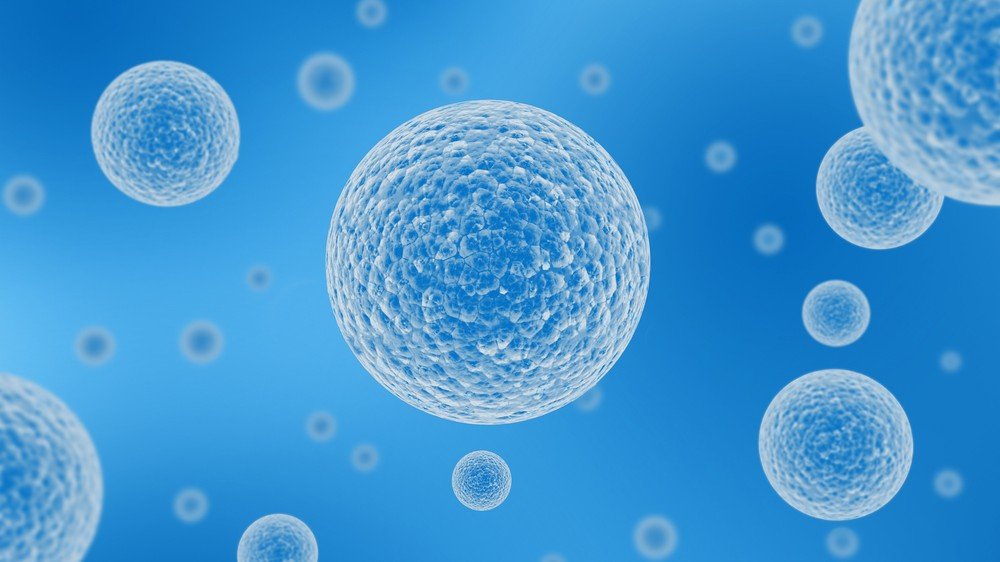 Cellen - undervisningsmateriale til biologi